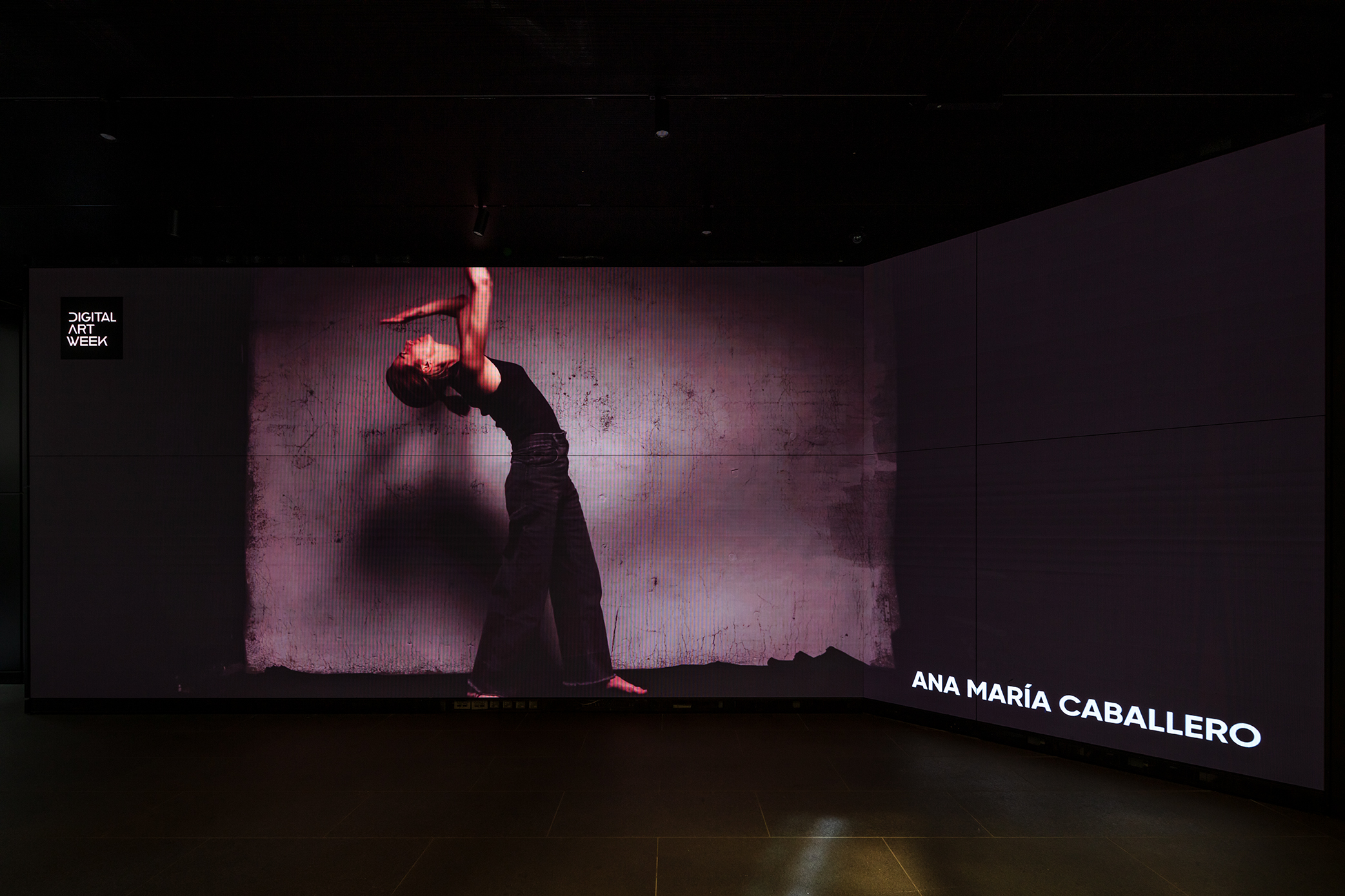 Solo Exhibition: Ana María Caballero, Beyond the Page - Ana Maria Caballero