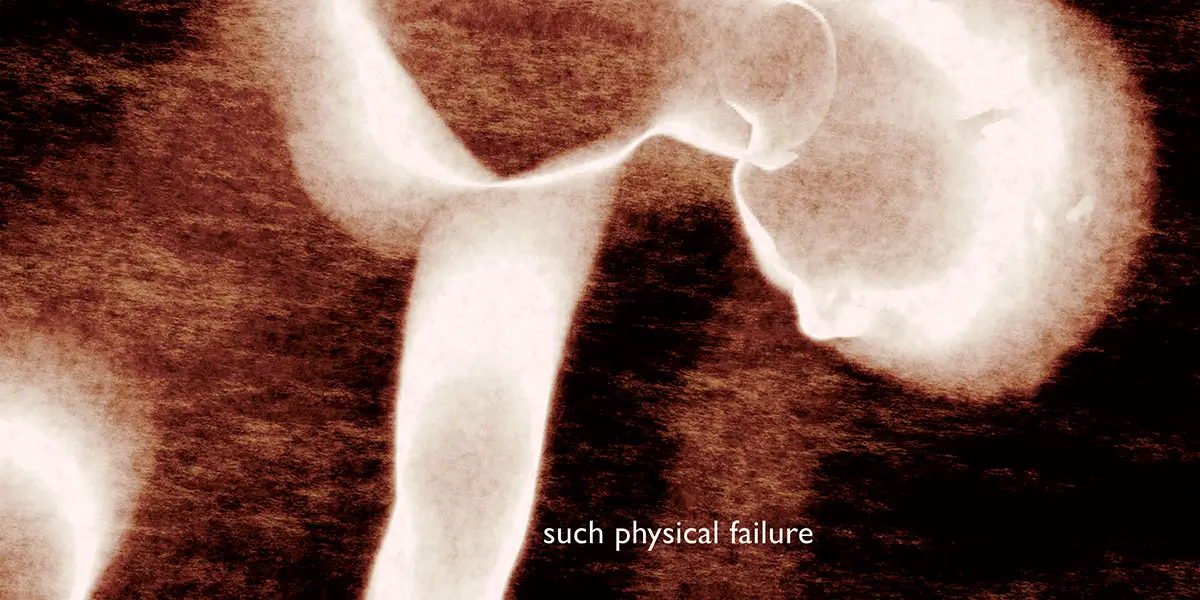 Echo Graph - Prints - Ana Maria Caballero